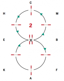 Sarah Bullimore’s figure-of-eight jumping exercise for focus - Horse ...