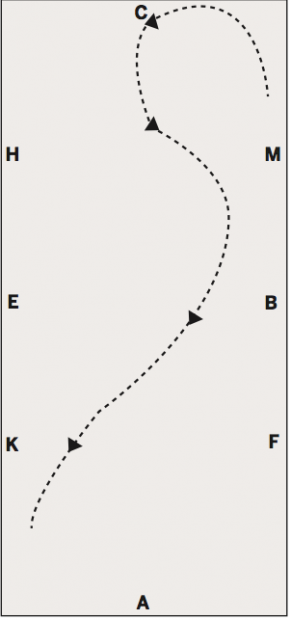 Counter canter: what is it and how to ride it - Horse & Hound's expert ...