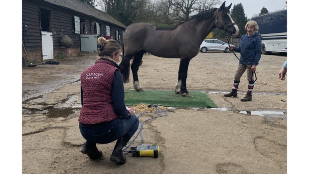 Dan Williams’ showing blog: ‘I just want to hand them an old Nokia with ...