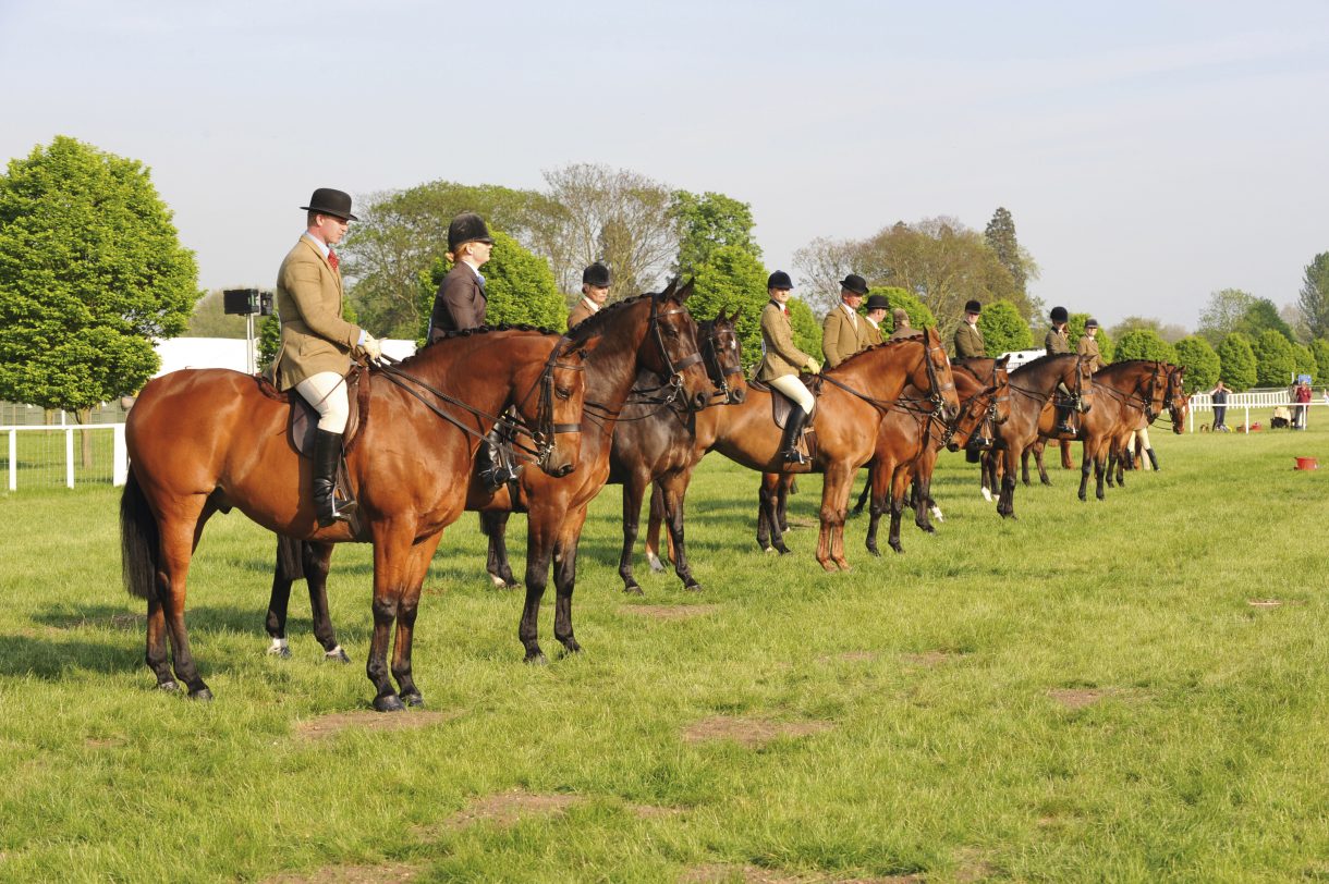 17 awkward, embarrassing or hairy moments you might have experienced in ...