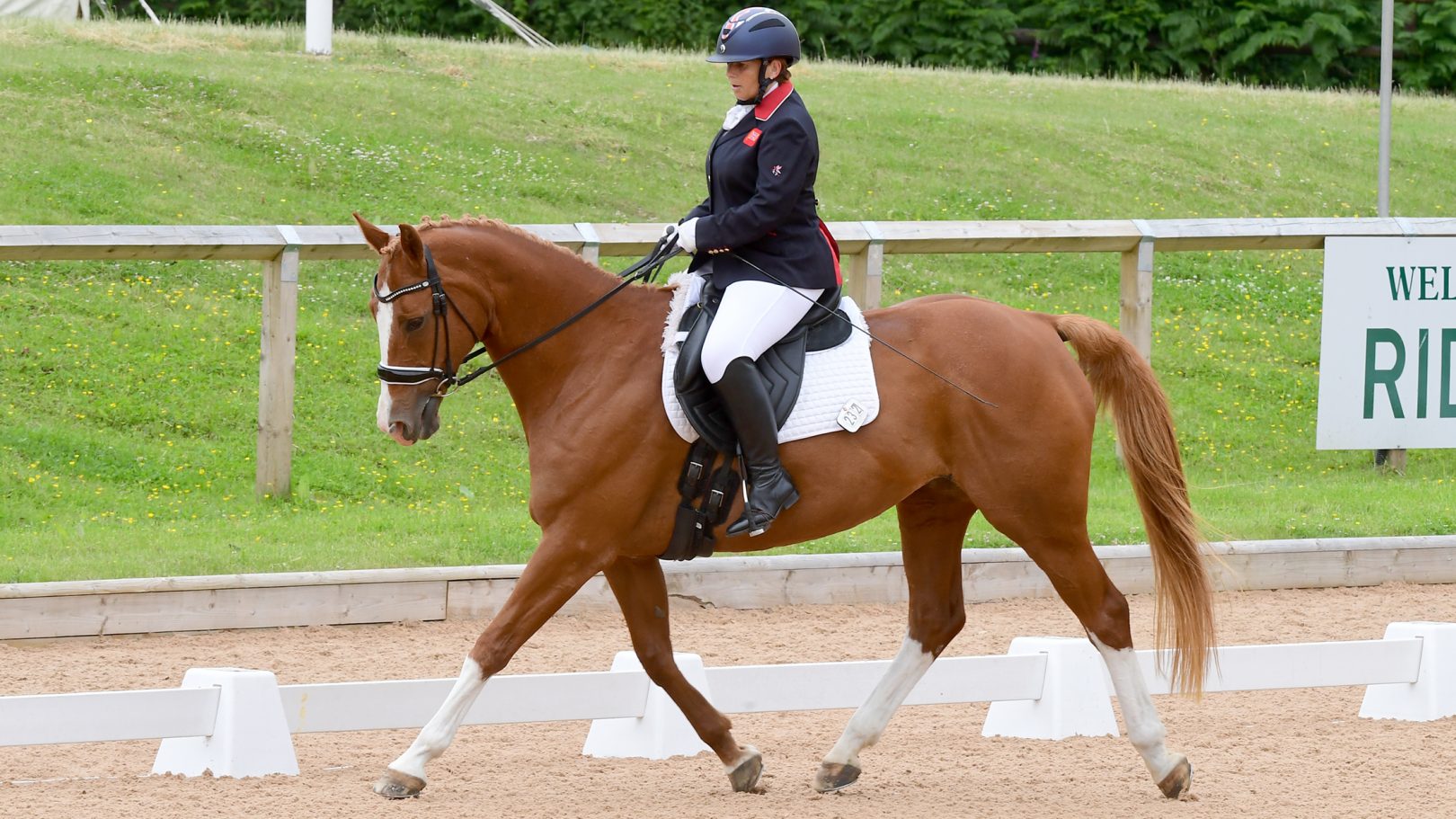 British gold medallist to climb Ben Nevis to fund Tokyo dream - Horse ...