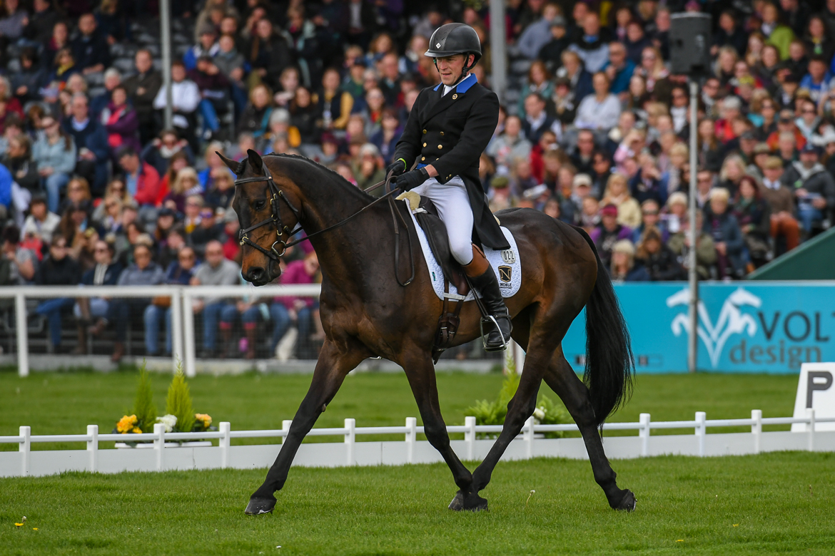 Simon Grieve’s eventing (and Badminton) blog: an absolute dream come ...