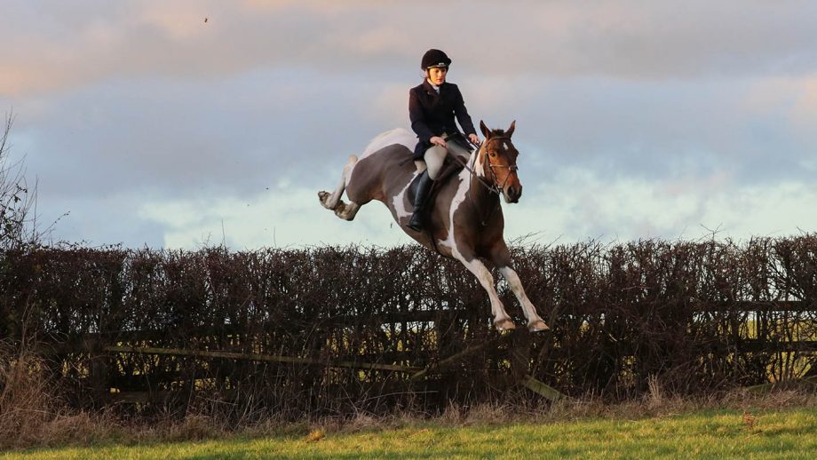 #ThisCobCan: 22 cobs that break the mould - Horse & Hound