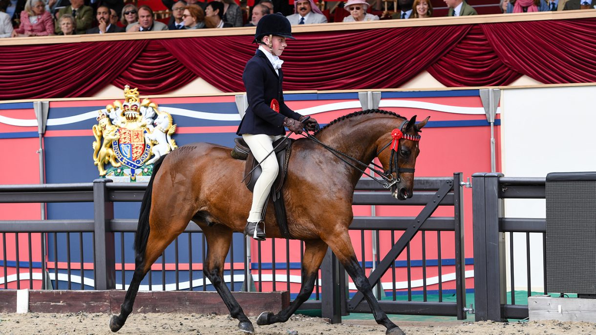 Are you excited for this year’s Royal Windsor Horse Show? 17 showing ...