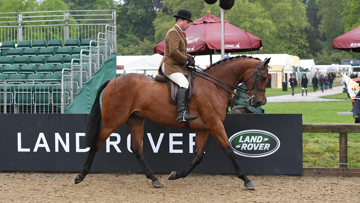 Show hunter classes: Horse & Hound’s expert showing guide