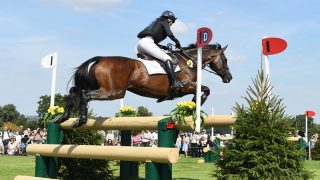 13 things you might not know about Piggy French - Horse & Hound