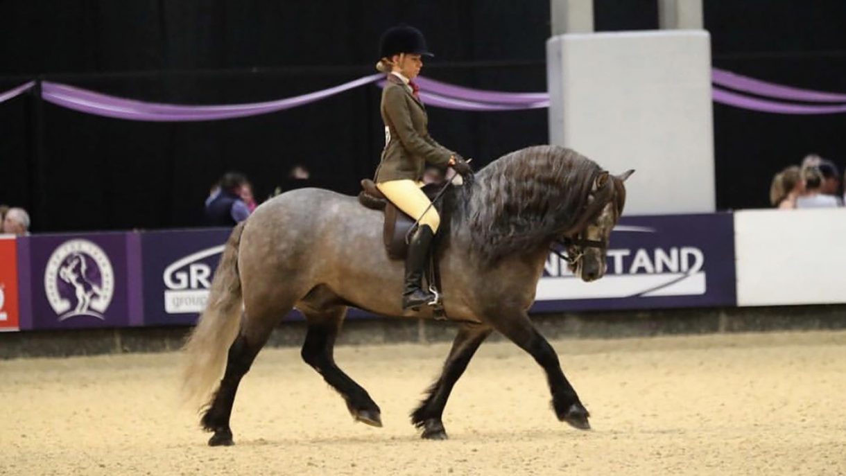 Rider ‘doing it for the horsey girls’ in beauty pageant - Horse & Hound