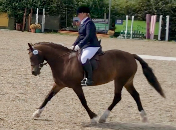 Don’t want to miss out on anything? These brilliant all-rounders could ...