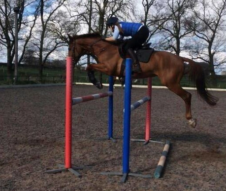 Don’t want to miss out on anything? These brilliant all-rounders could ...