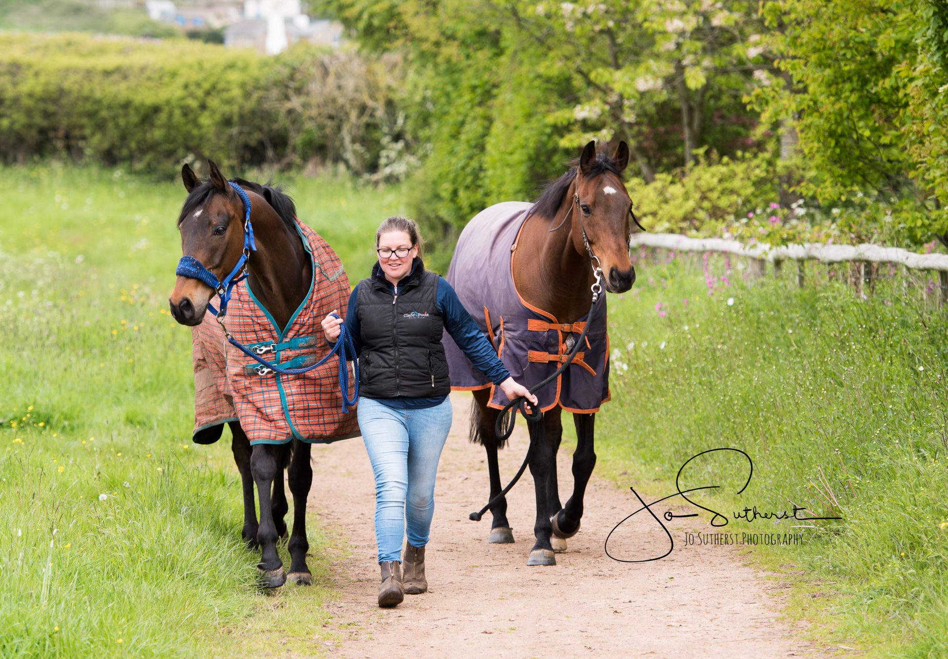 Clare Poole’s racehorse to riding horse blog: two National Hunt greats ...