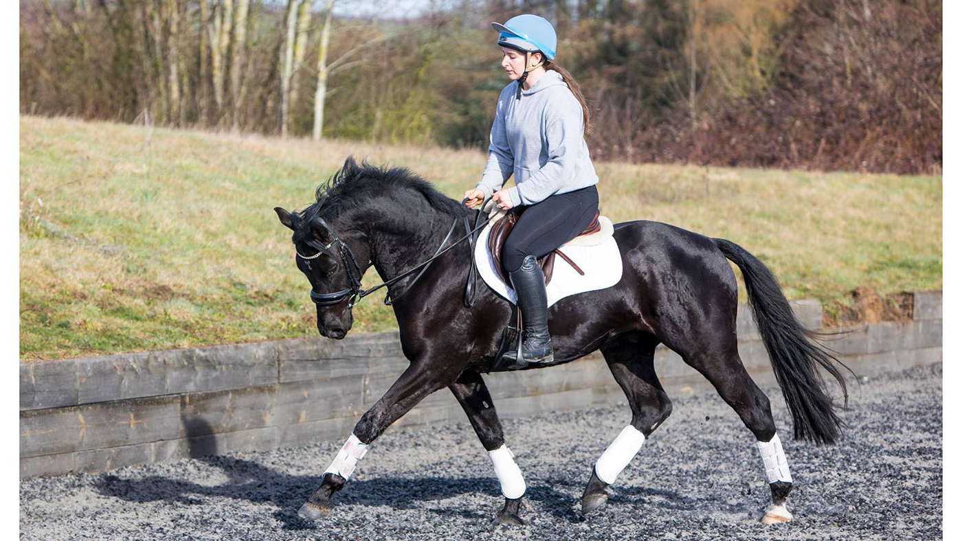 Claire Drey-Brown’s we need to talk blog: ‘am I letting my horse down ...