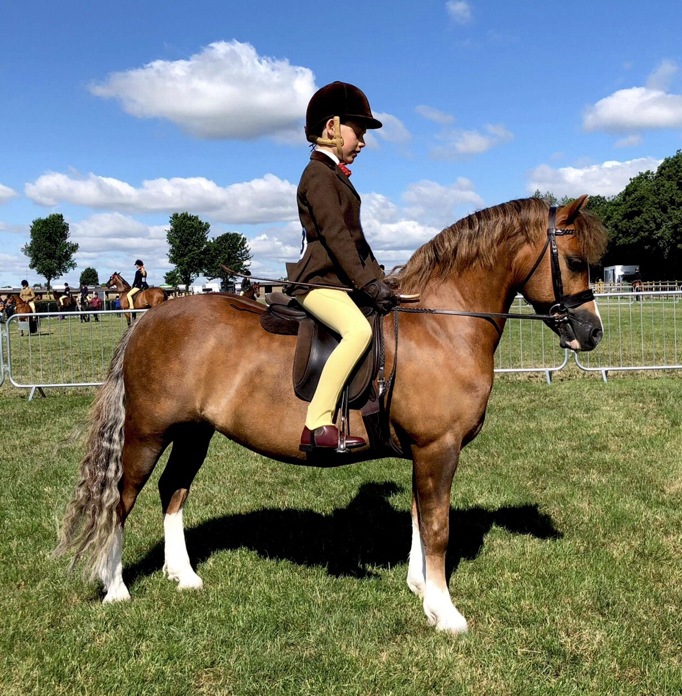 Road to RIHS: meet the ultra-versatile pony with four tickets in the ...