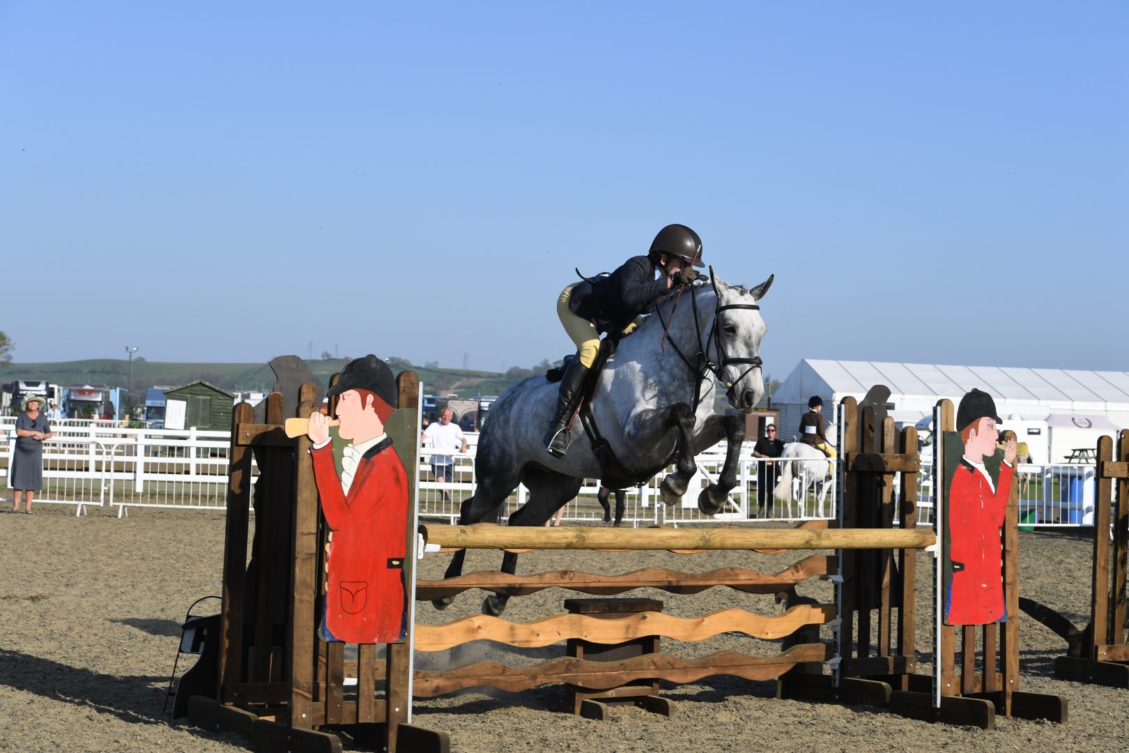 9 gorgeous geldings we’ve spotted in the show ring this season ...