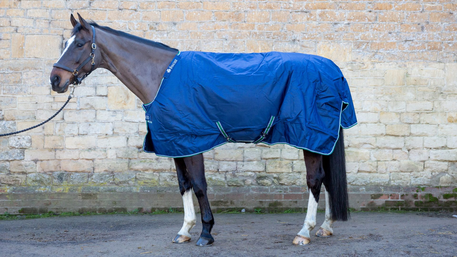 Bucas Smartex medium turnout review | Horse & Hound