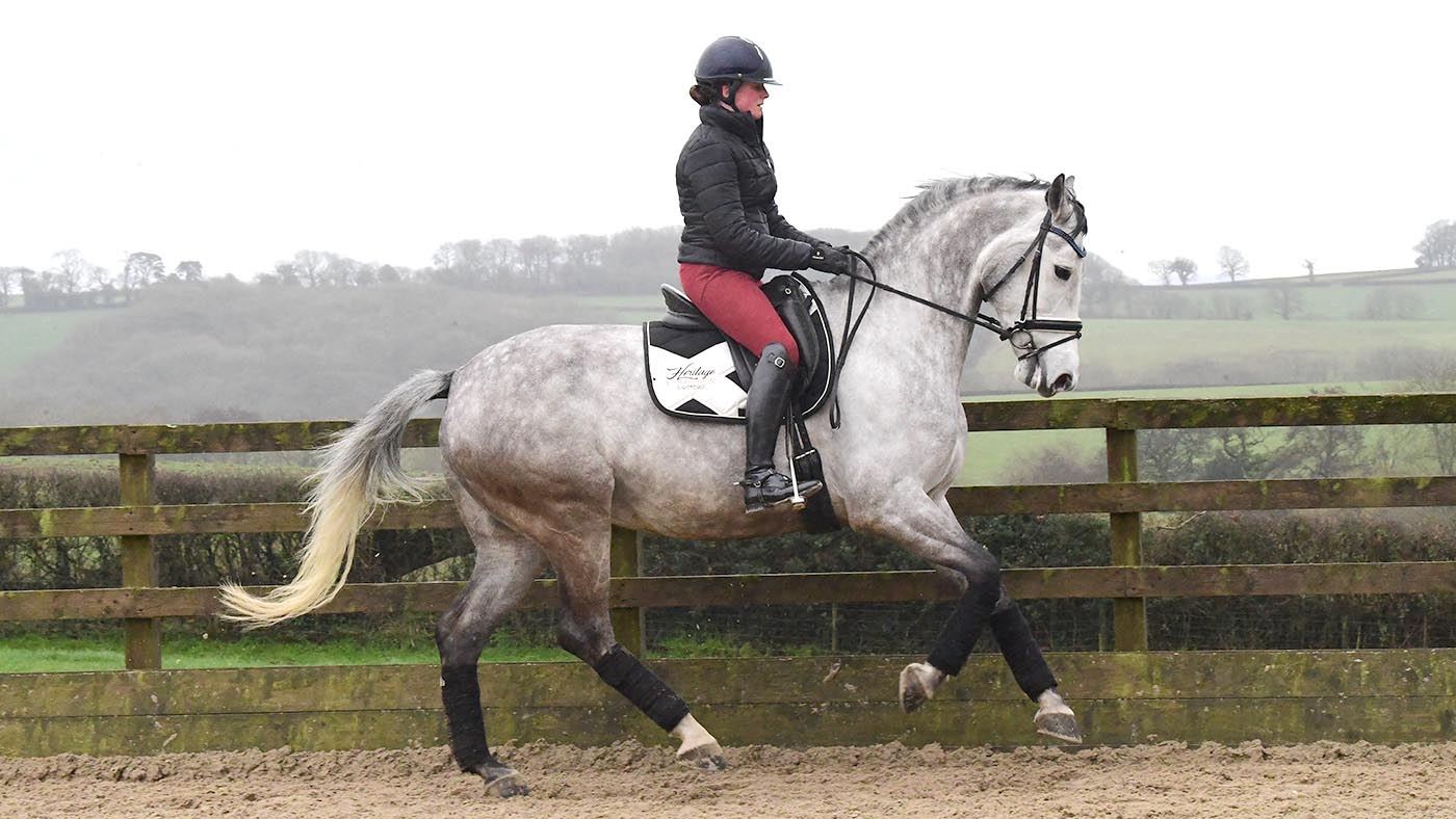 Anna Ross: Charlotte Dujardin has set a new standard for British riders
