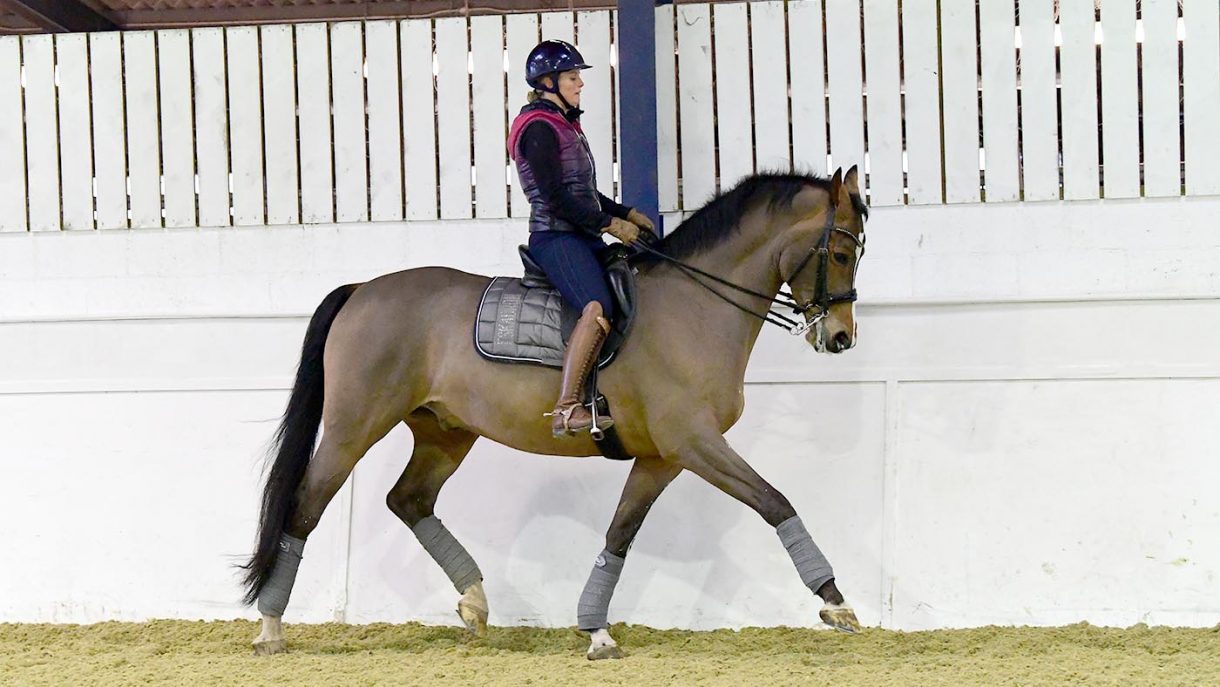 How to ride sitting trot: top tips to help riders at every level