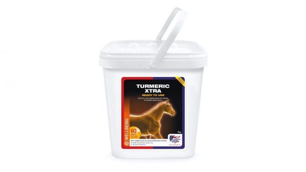 Turmeric for horses: benefits and options to buy | Horse & Hound