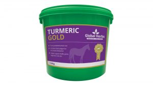 Turmeric for horses: benefits and options to buy | Horse & Hound