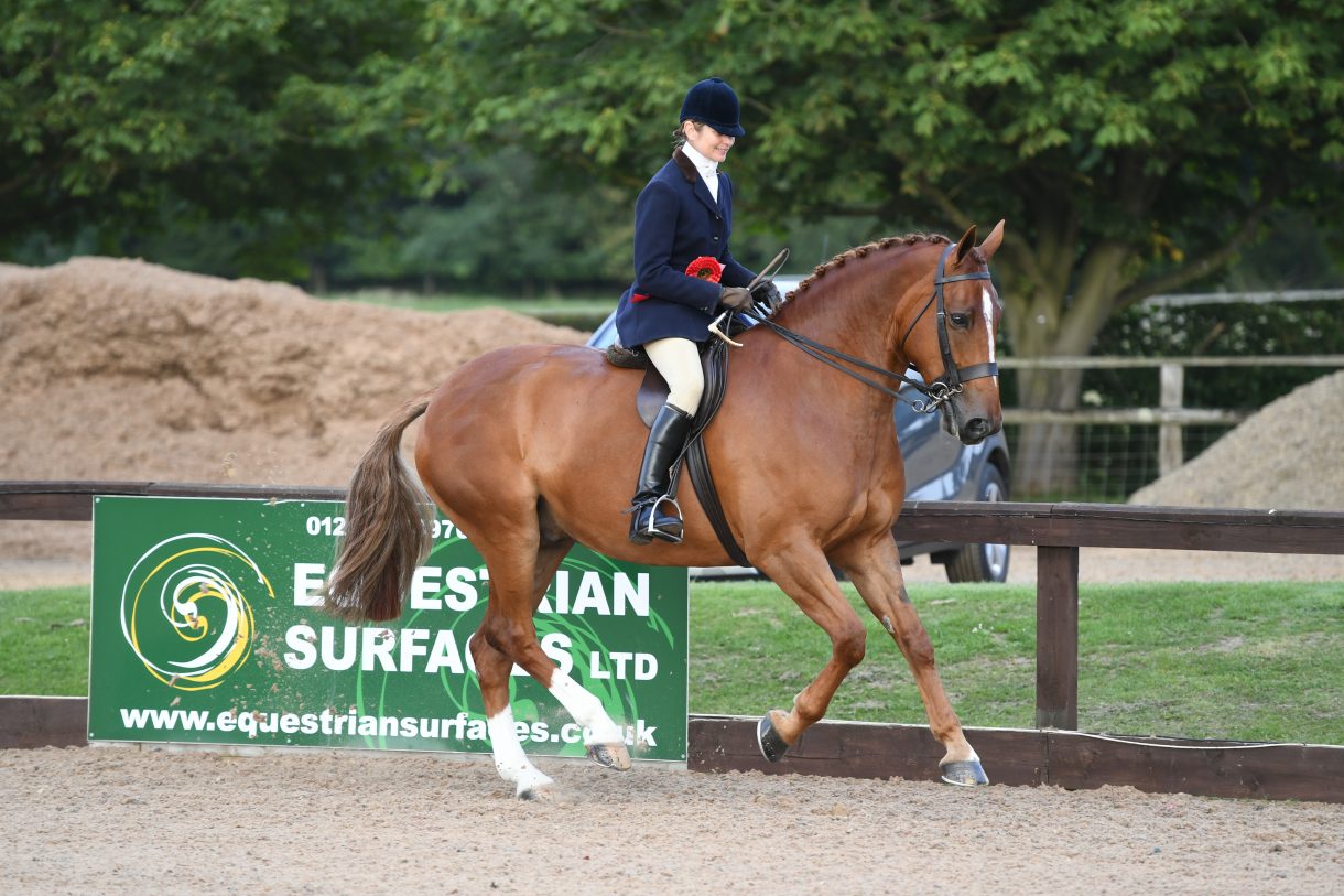 14 stunning winners from the National Hunter Championship show ...