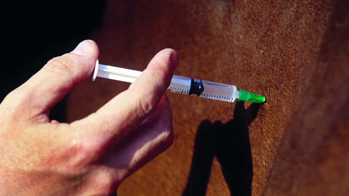 Grass sickness in horses | Horse & Hound veterinary library