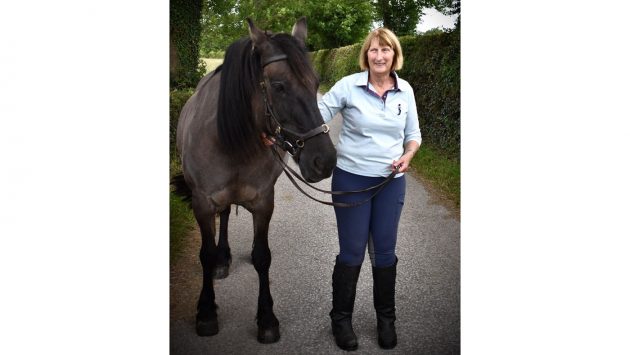 My life with horses: Laureen Roberts — ‘roads are getting busier and ...