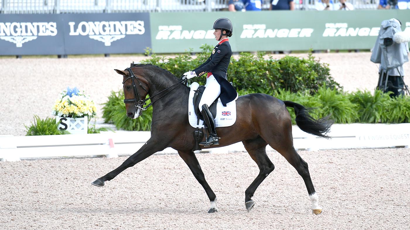 How to watch the European Dressage and Showjumping Championships on TV ...