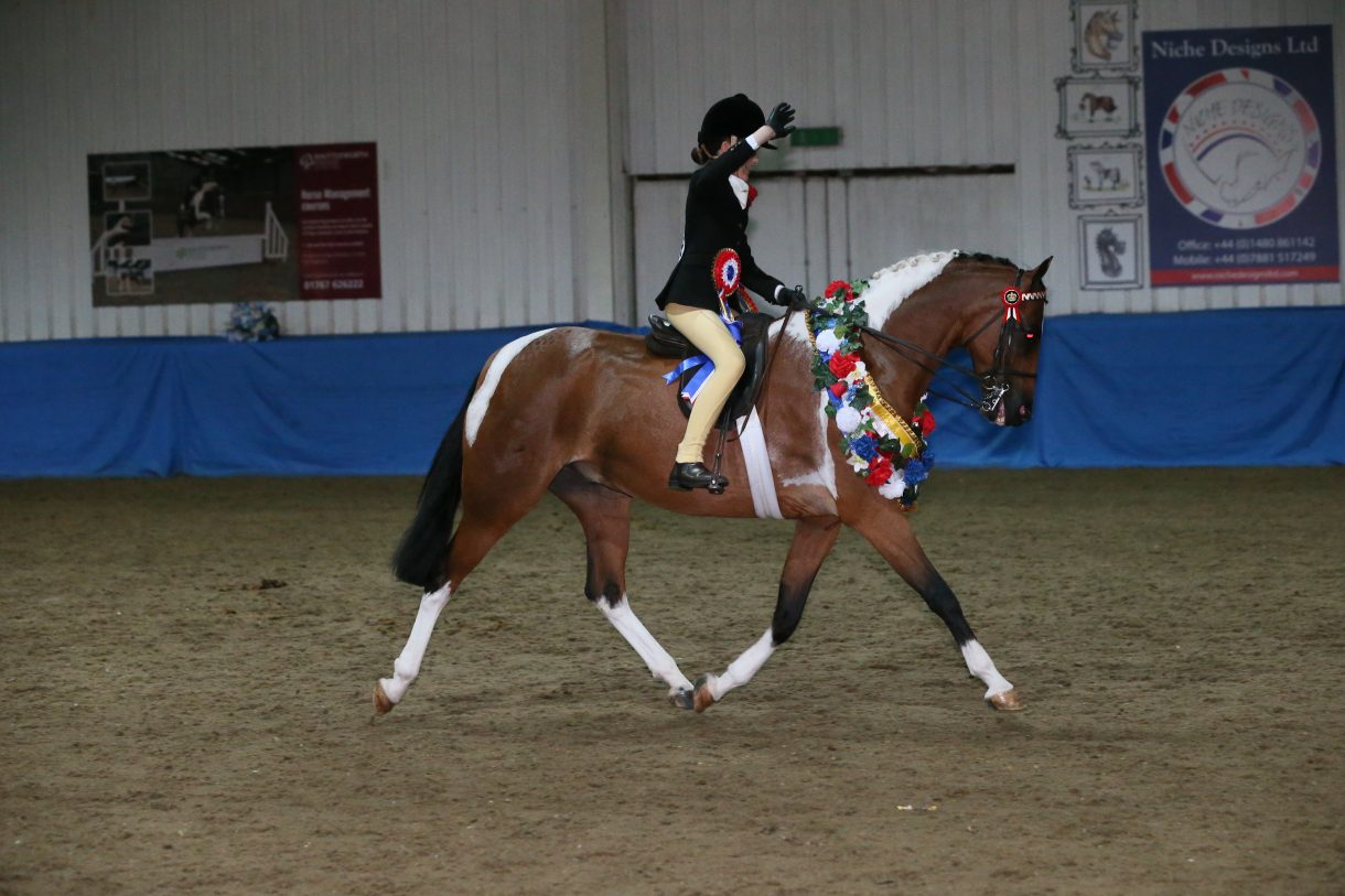 Farewell to ‘exceptional’ coloured pony who made history in the show ...