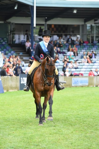 21 stunning show ring winners from the 2019 Royal International Horse ...