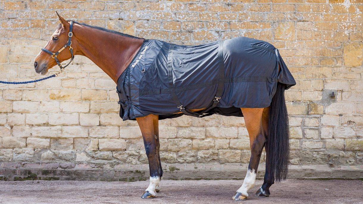 Back On Track mesh rug review | Horse & Hound