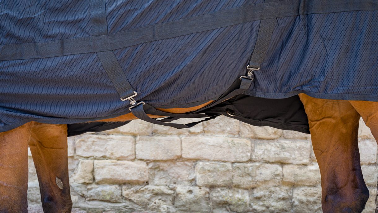 Back On Track mesh rug review | Horse & Hound