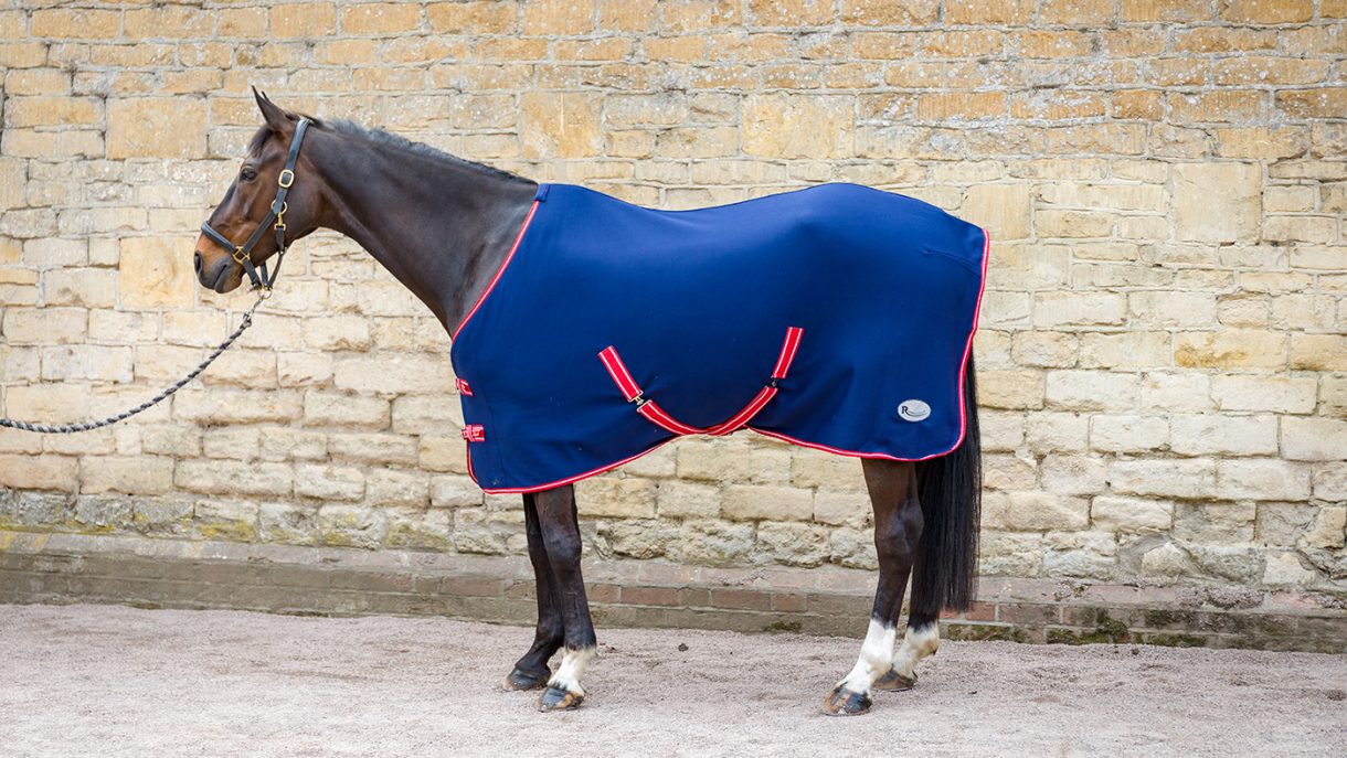 Best travel rugs: Horse & Hound’s tester ranks her favourites