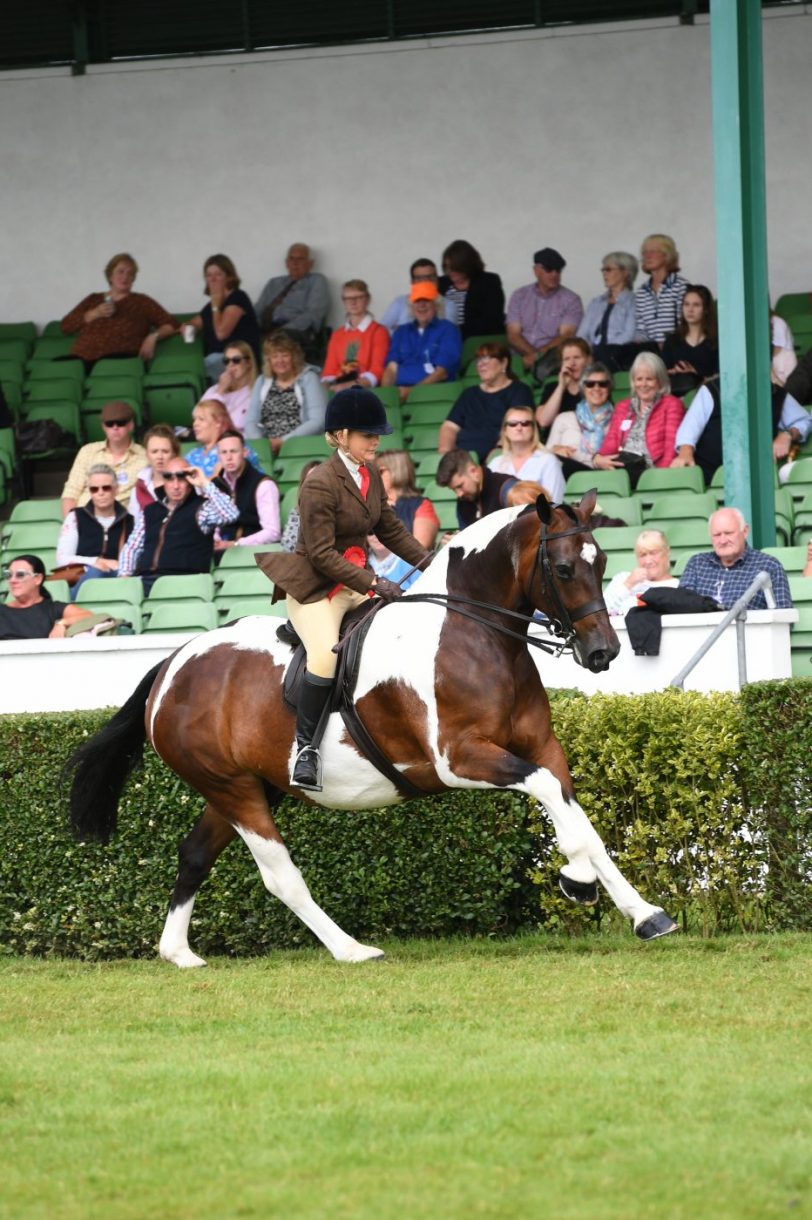 Will these be beaten this year? 8 of the best gallops we snapped at the ...