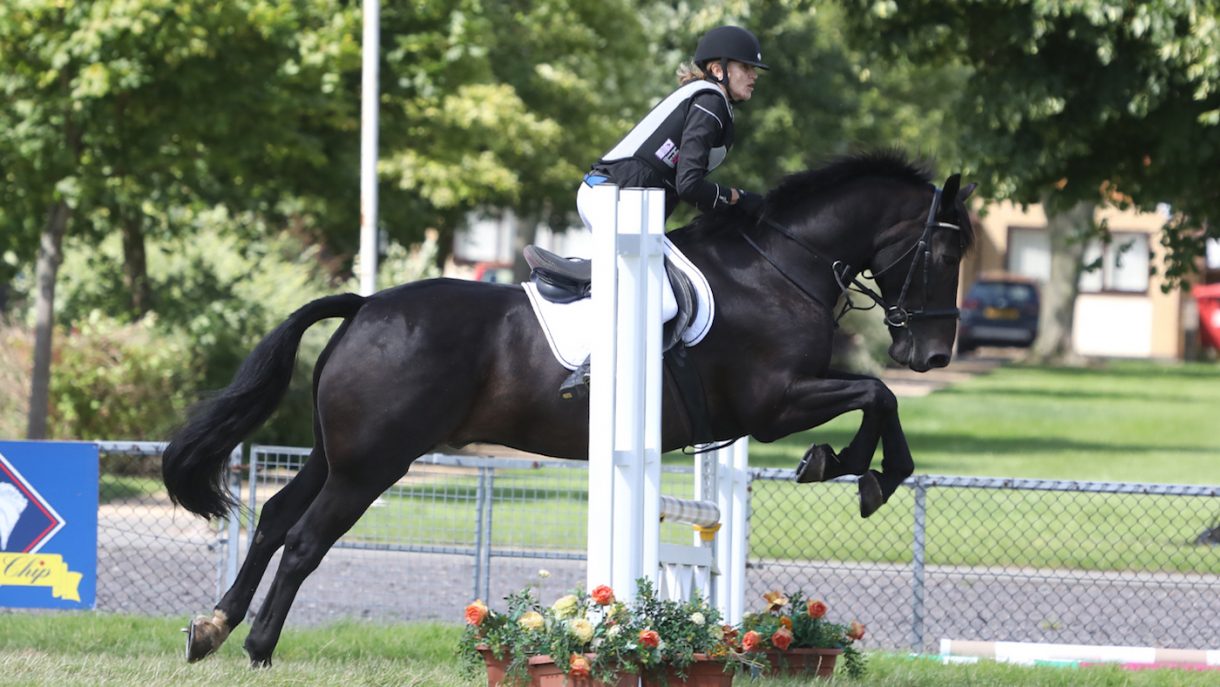 ‘The best pound I’ve ever spent’: horse bought for £1 takes national ...