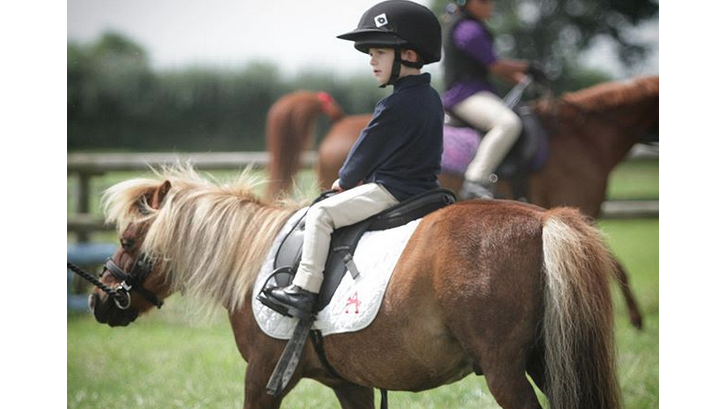 What fun! 17 brilliant 2019 Pony Club camp moments to savour - Horse ...