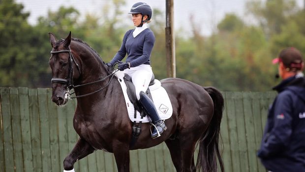 Meet the stallion Carl Hester deems ‘the best-bred horse in the world ...