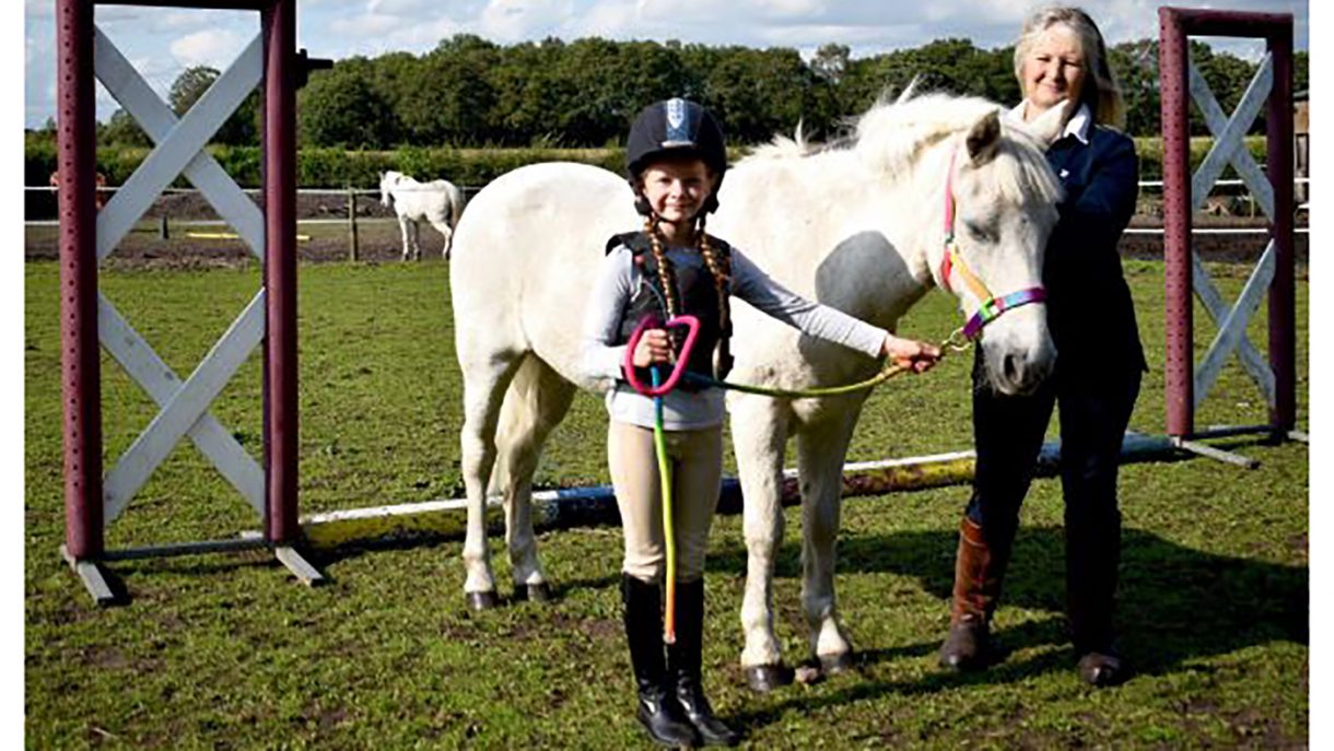 Britain’s unsung equine heroes: the 33-year-old riding school pony with ...