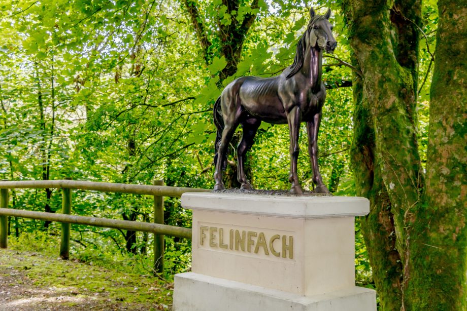 A handsome Georgian manor, 42 box stable yard, all-weather arena and ...