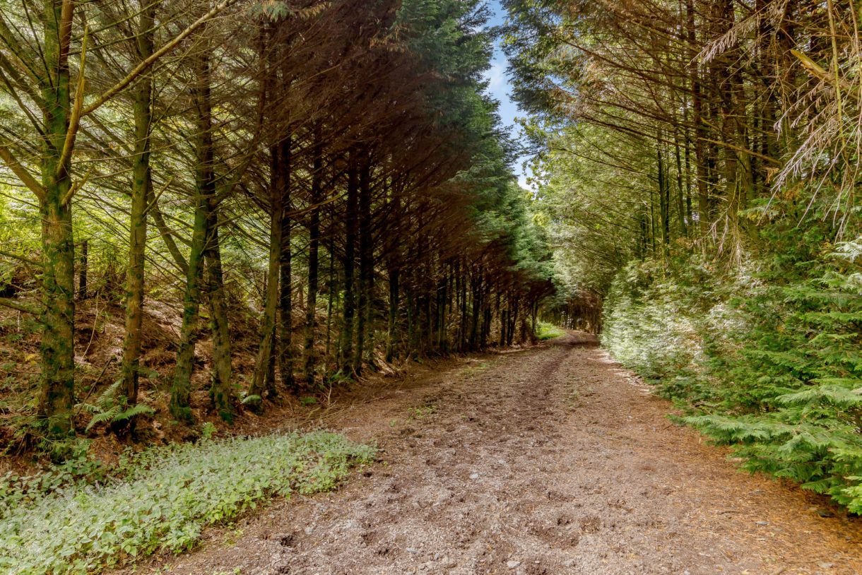 A handsome Georgian manor, 42 box stable yard, all-weather arena and ...