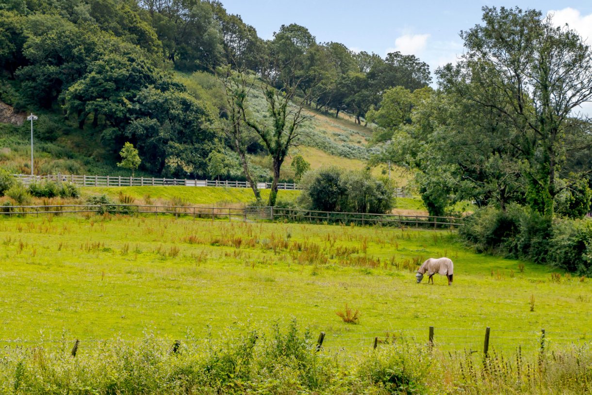 A handsome Georgian manor, 42 box stable yard, all-weather arena and ...