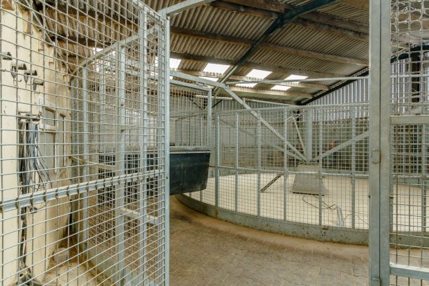 A handsome Georgian manor, 42 box stable yard, all-weather arena and ...