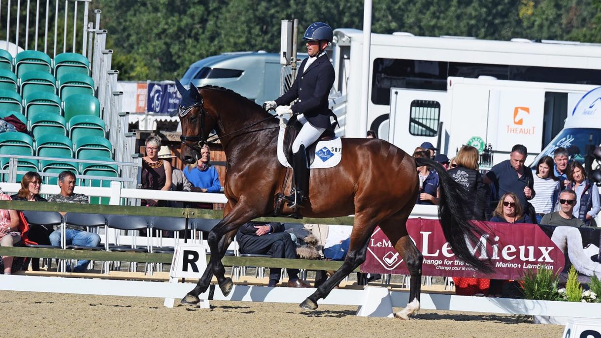 Shoulder fore: what it is and how to ride it - Horse & Hound