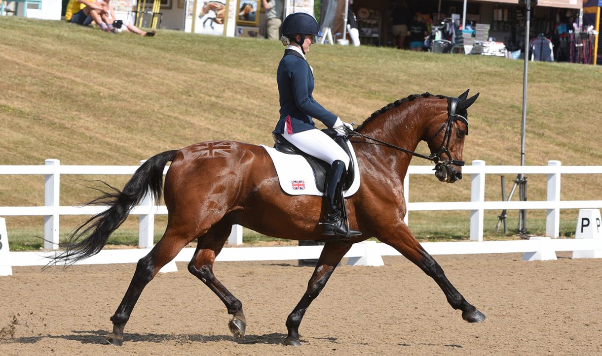 Top British horse who ‘taught us never to give up hope’ retires - Horse ...