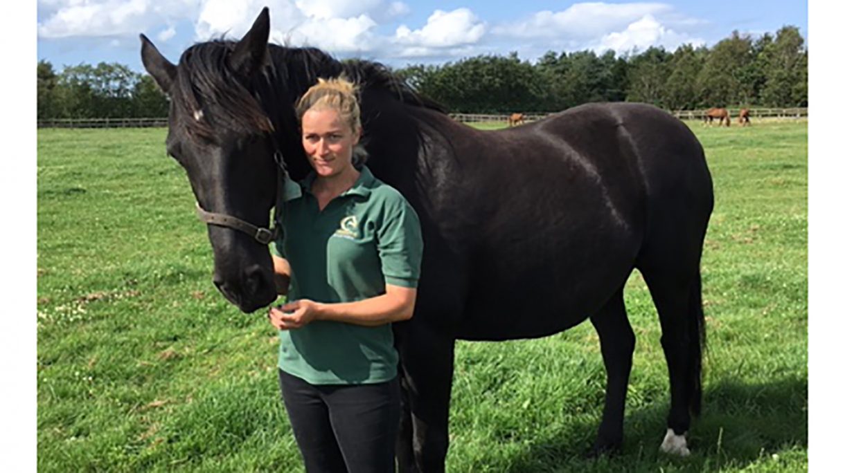 Britain’s unsung equine heroes: Trinny — ‘she is happy to tolerate 15 ...