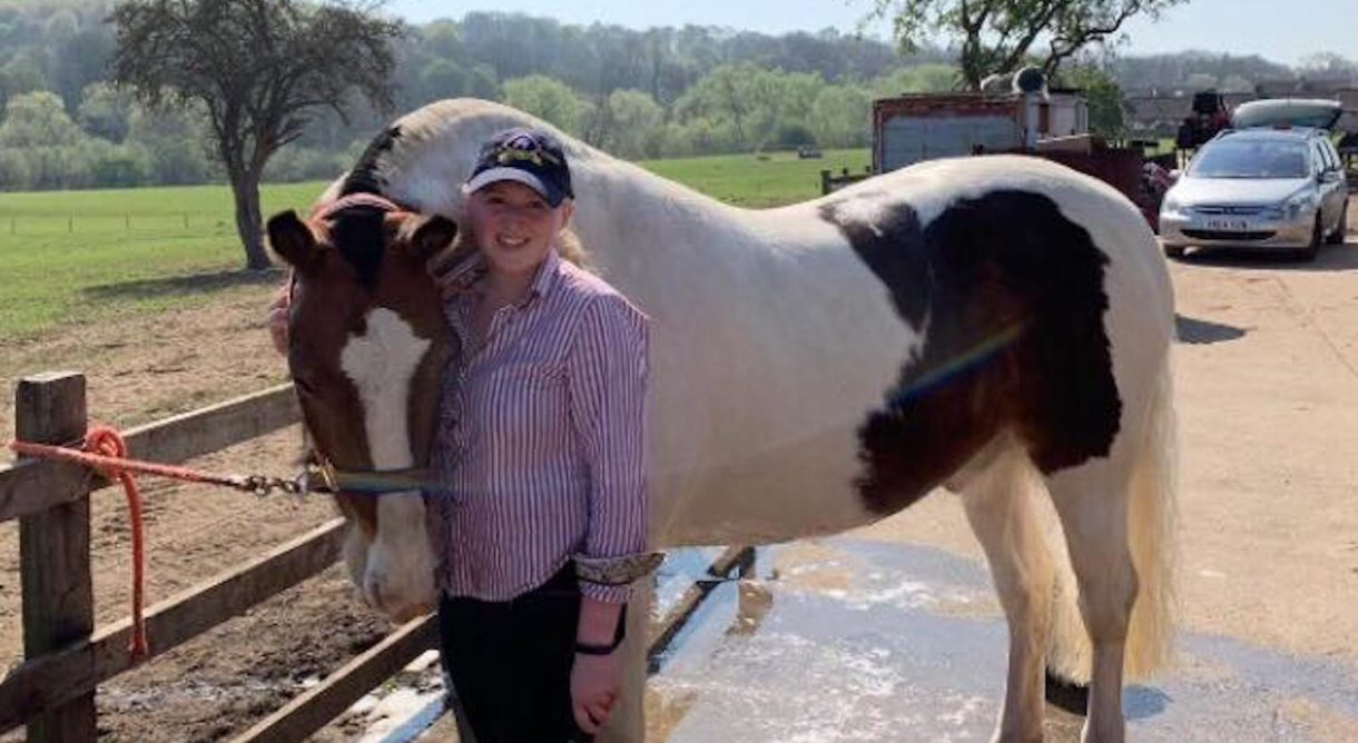 ‘We’re putting our lives in their hands’: horse hit by car after driver ...