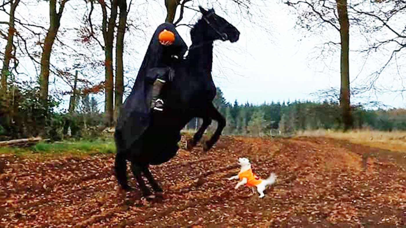 Looking for Halloween costume inspiration? Check out these 9 spooky ...