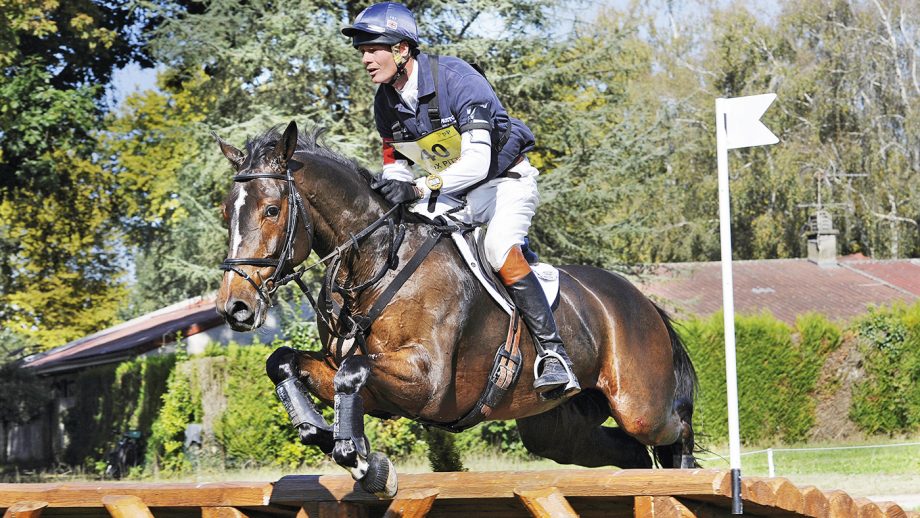9 young event horse World Championship winners who’ve gone on to make a ...