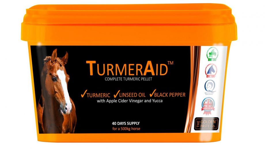 Turmeric for horses: benefits and options to buy | Horse & Hound