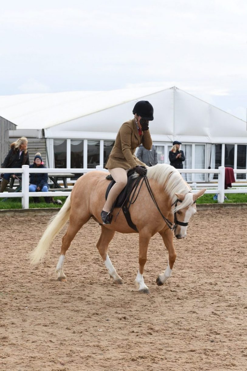 #TBT: The M&Ms that made it to Olympia — 23 winning natives from the ...