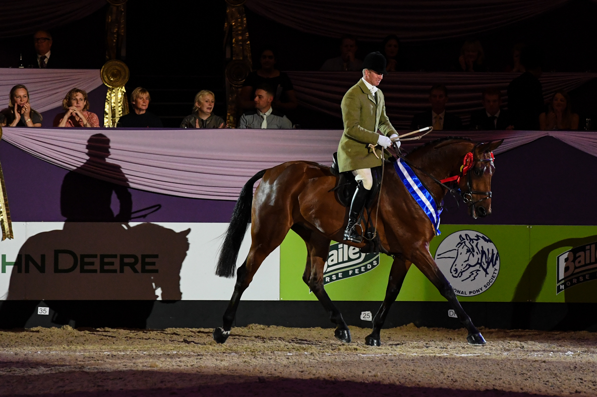 HOYS 2019: Five-year-old is crowned working hunter of the year - Horse ...