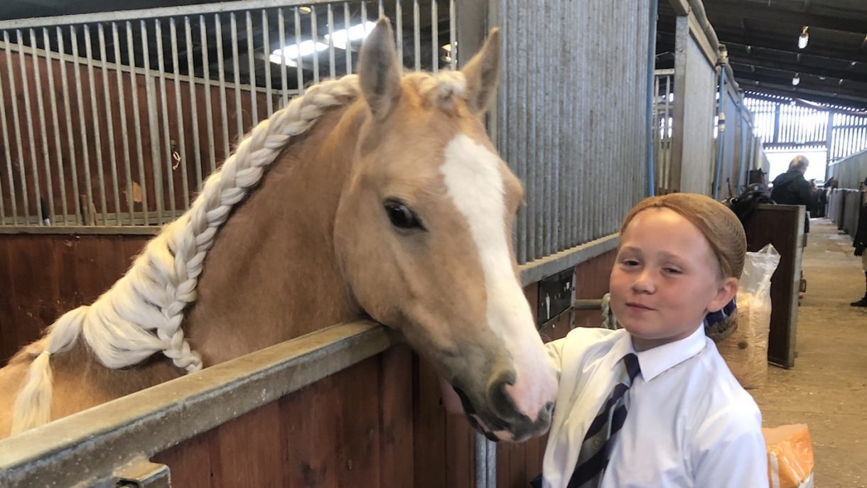 ‘One in a million’: rescued Spindles Farm yearling’s journey to showing ...